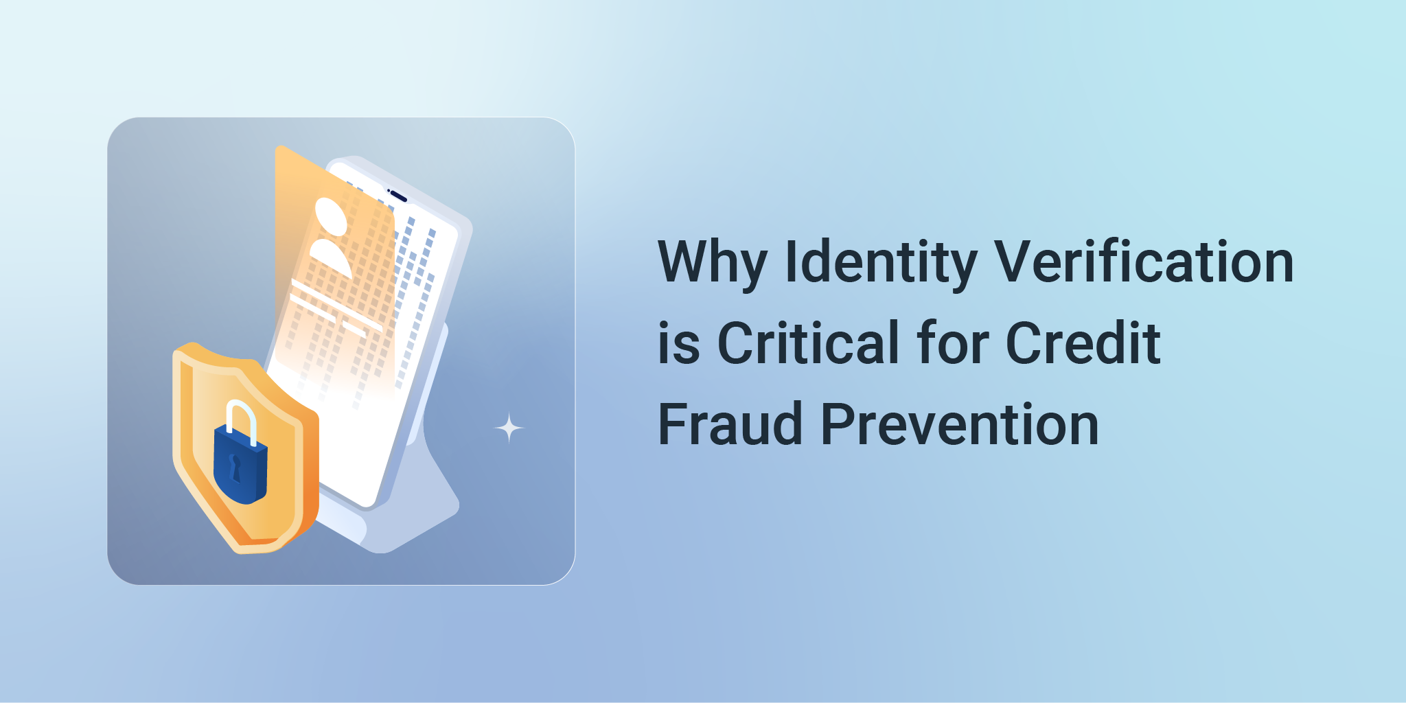 Why Identity Verification Is Critical For Credit Fraud Prevention Torpago